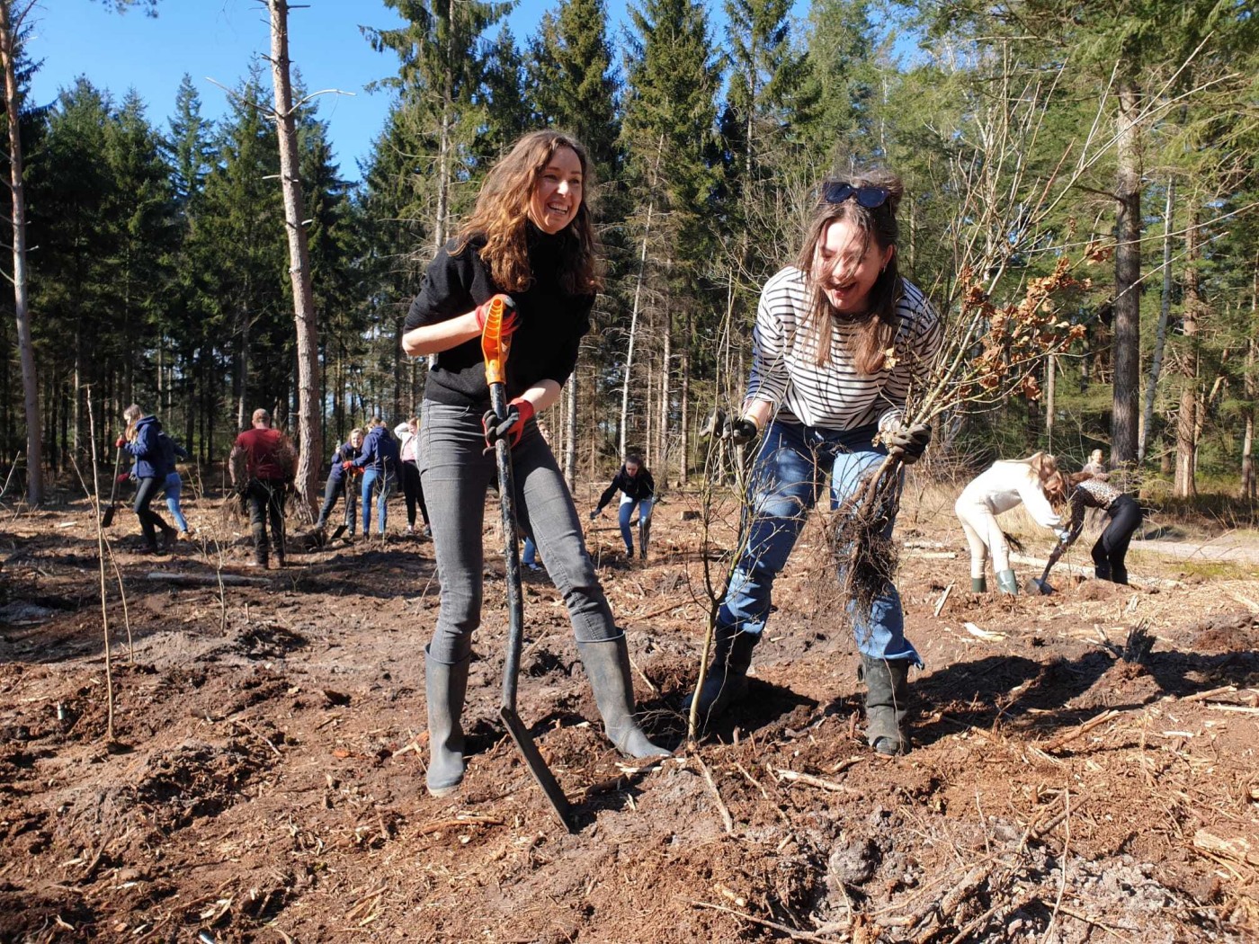Plant bomen! - ADRA Nederland